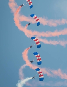 Royal Cornwall Show Logo Design in Cornwall by Cape Creative