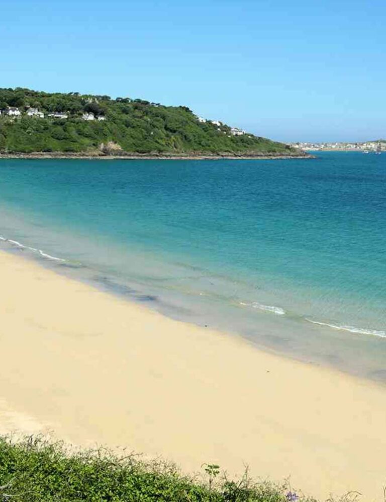 Stephen Page Logo Design Cornwall with Cape Creative